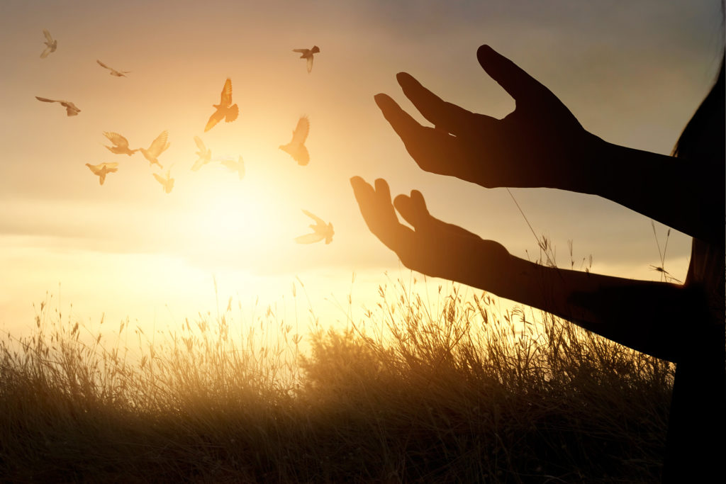 Nikotin und Alkohol - Das Suchtportal